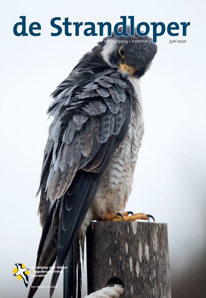 de Strandloper – Strandloper