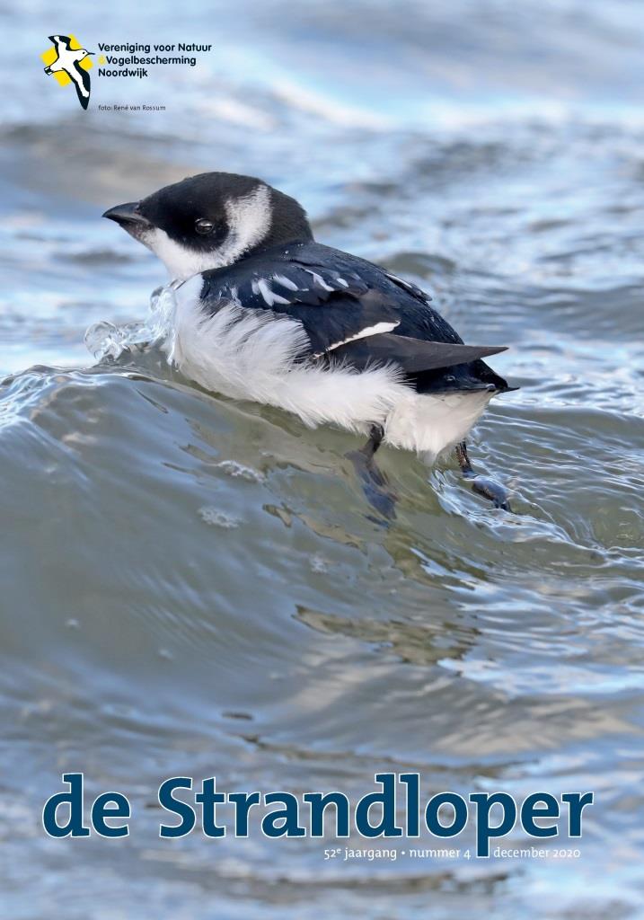 de Strandloper – Strandloper